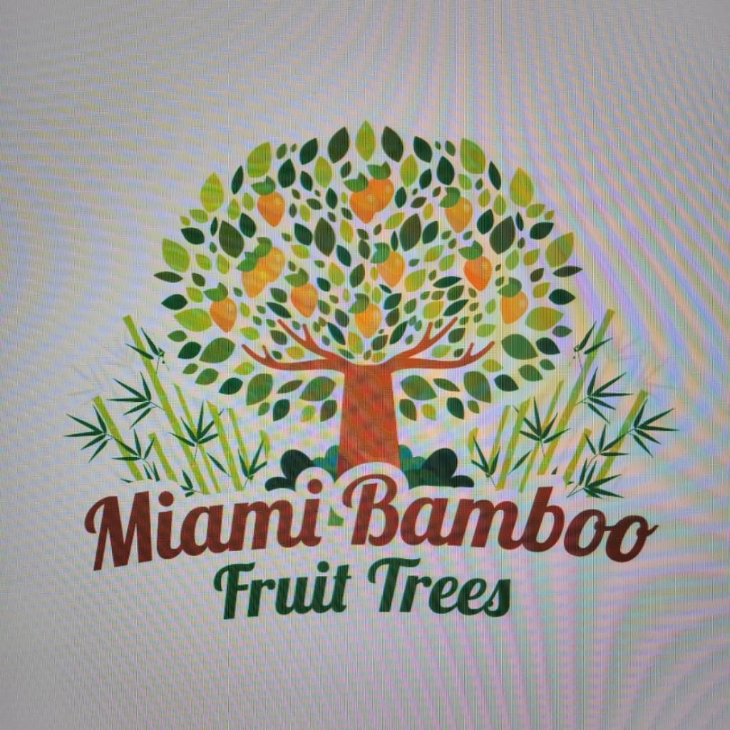 Miami Fruit Trees and Bamboo – Bringing Miami's Lush Greenery to Your ...